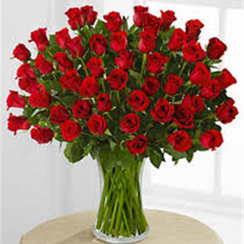 50 Long Stem Large Head Premium Red Roses