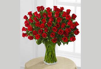 100 Long Stem Premium Red Roses